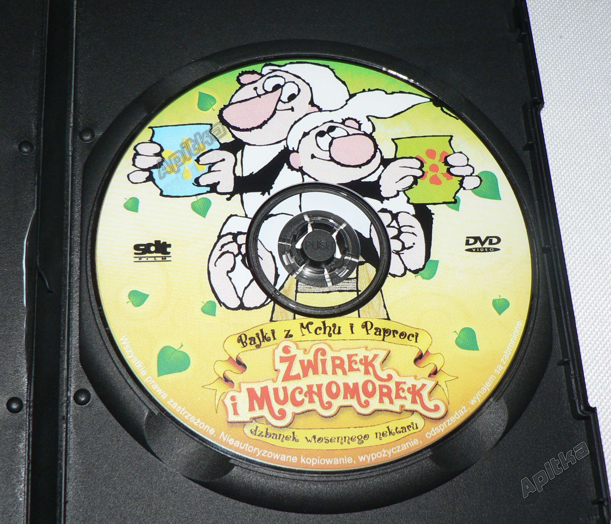 DVD ŻWIREK I MUCHOMOREK Dzbanek wiosennego nektaru